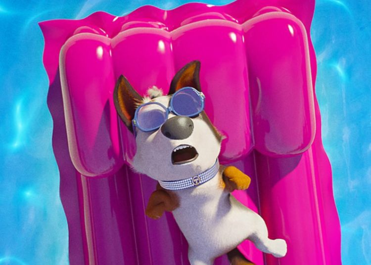 Urwis - Film&TV Kamera